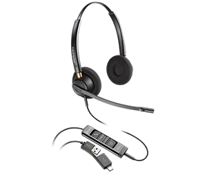 Poly Solutions - Virtual Graffiti